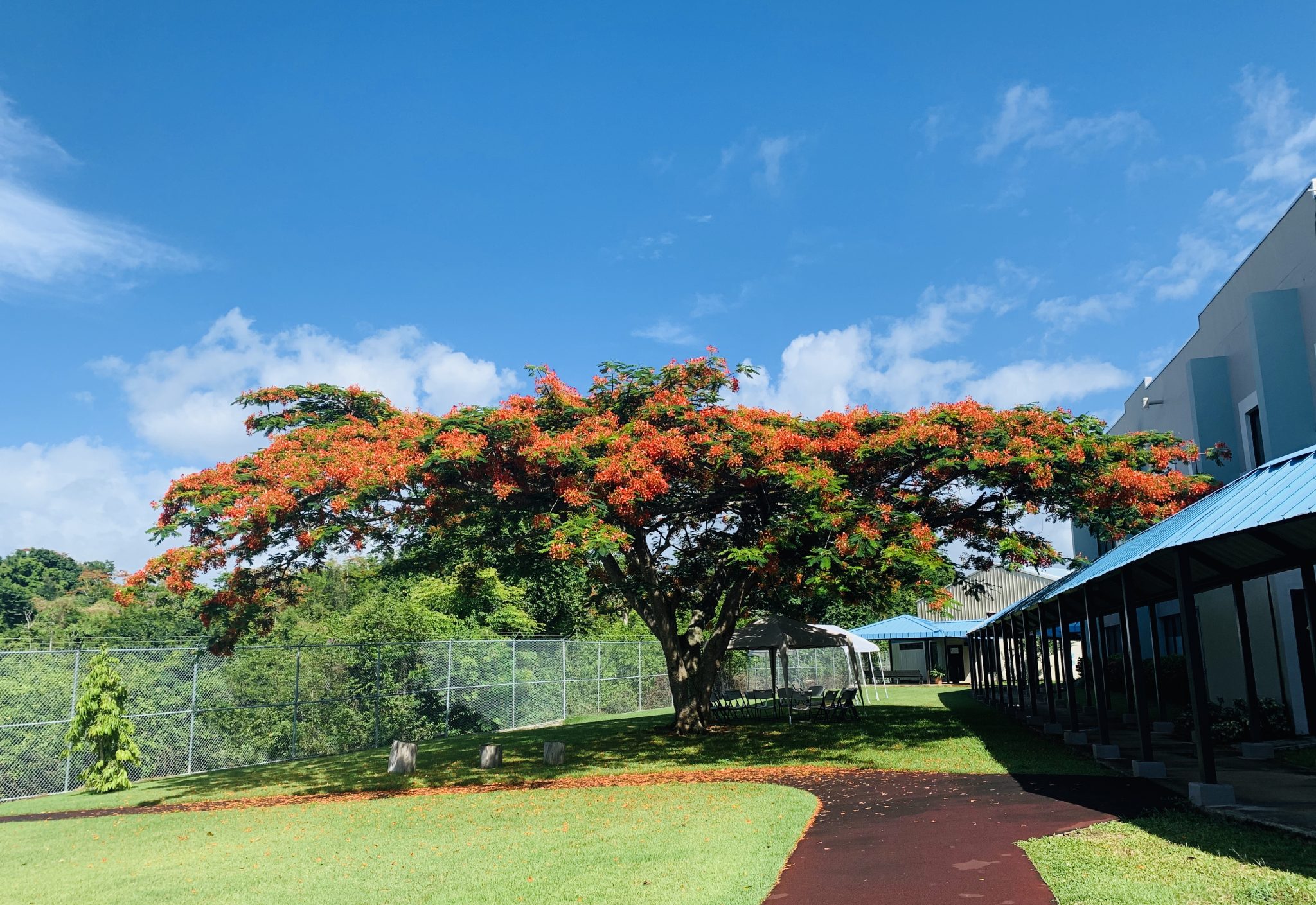 Clínica de Programas de Hospitalizacin Parcial - Puerto Rico - Hospital ...